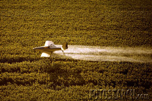 Page describing the properties of DDT