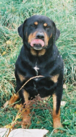 Web Lab by Karin Glassford