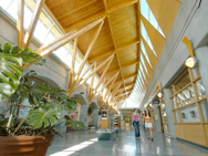 CHEM 101 - General Chemistry II