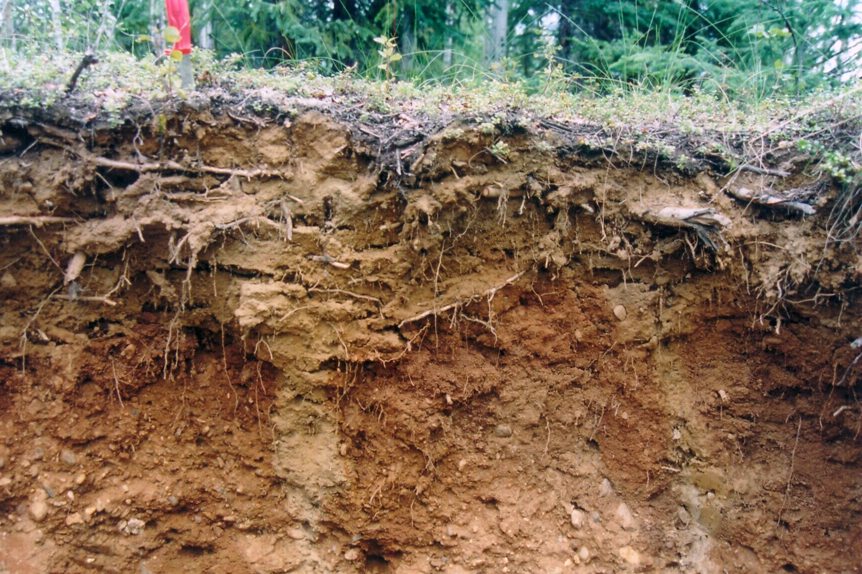 Paul Sanborn - Yukon Landscapes and Soils