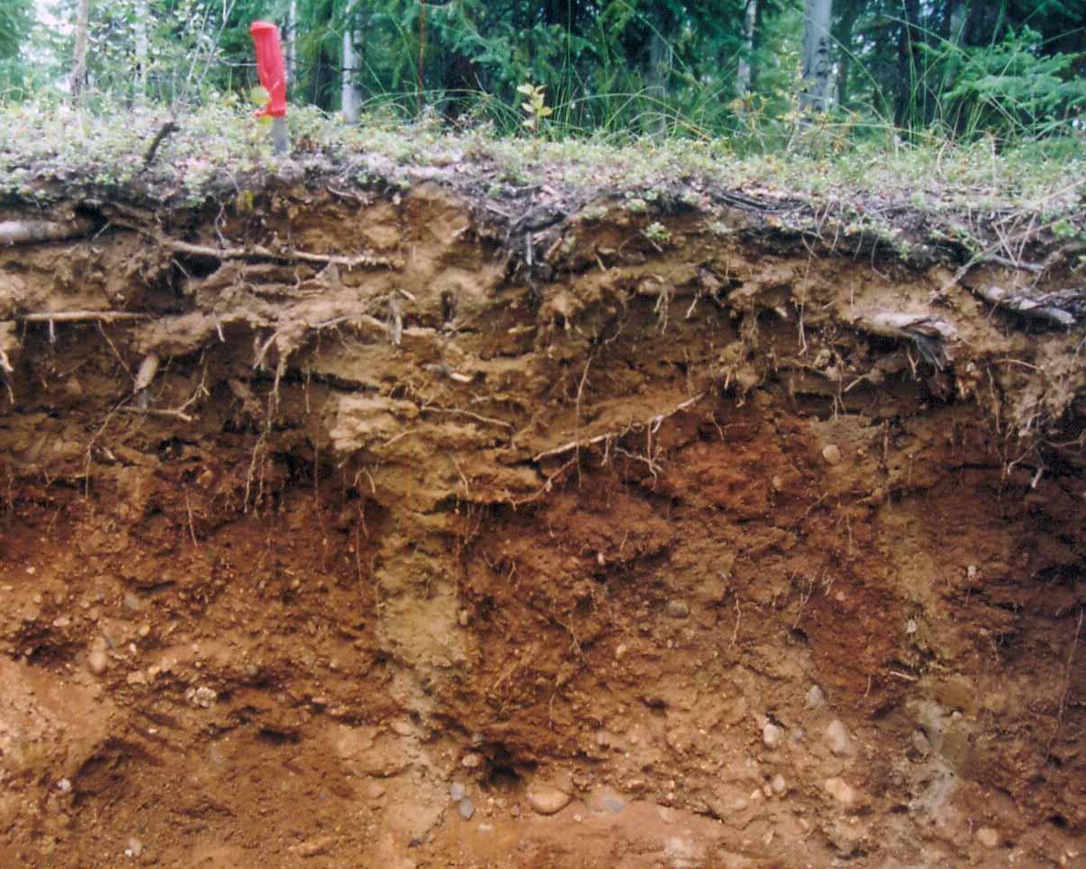 Paul Sanborn - Yukon Landscapes and Soils